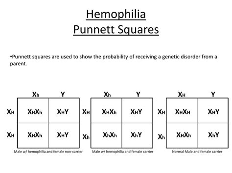 Hemophilia Punnett Square