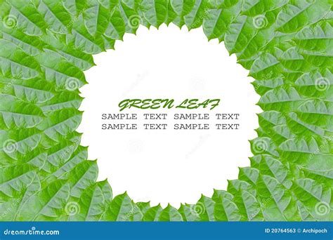 Framing Of Green Leaves Stock Image Image Of Foliage 20764563