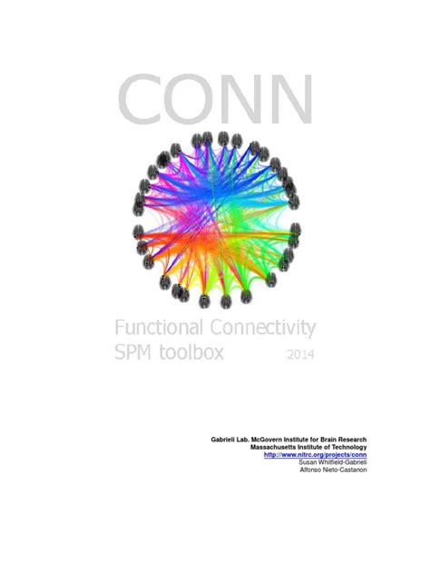 Conn Fmri Functional Connectivity Toolbox Manual V14 Pdf Dependent And Independent Variables
