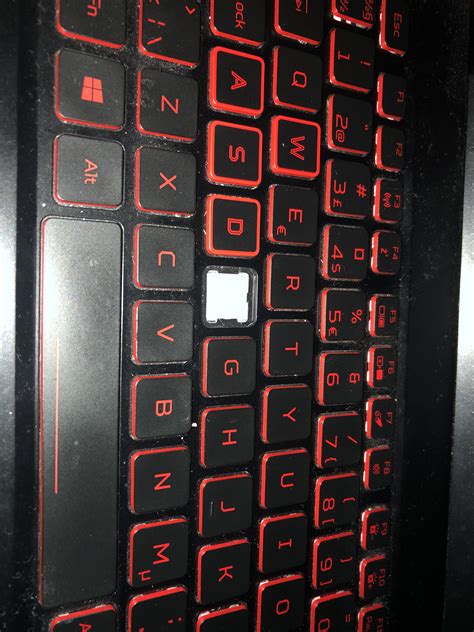 So I Came Home And My F Key Was Missing R Mildlyinfuriating