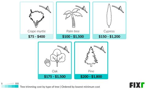 Tree Trimming Cost Average Price For Tree Trimming Fixr