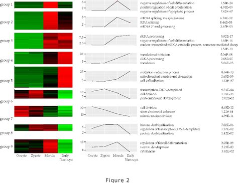 Figure 2 From Transcriptome Analysis Of In Vitro Fertilization And Parthenogenesis Activation