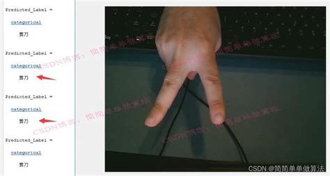 基于深度学习网络的usb摄像头实时视频采集与手势检测识别matlab仿真 简简单单做算法 博客园