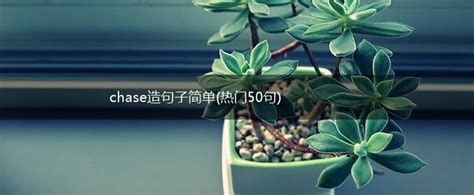 chase造句子简单 热门50句