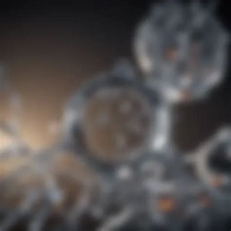 Understanding The Great Garbage Patch And Its Effects