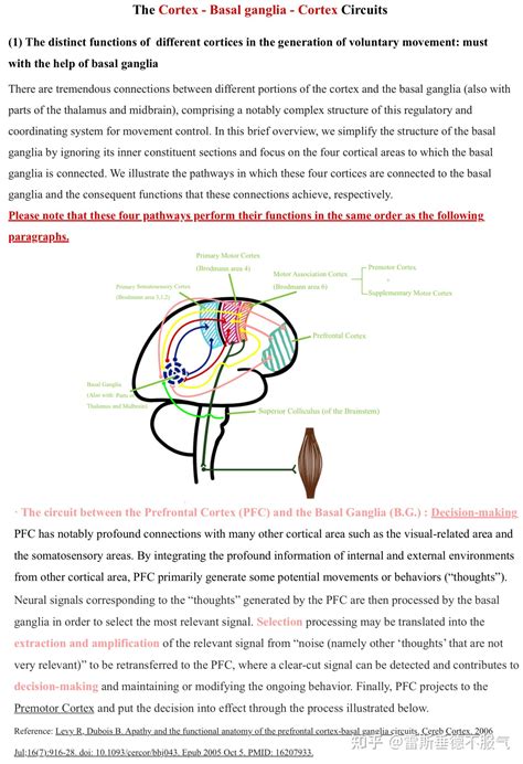 Notes Of Neurobiology The Cortex Basal Ganglia Cortex Circuit 神经生物学笔记 大脑皮质与基底神经节环路 知乎