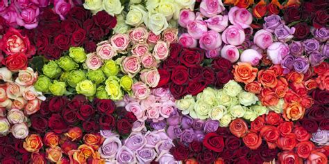 Colorful Flower Arrangements And Bouquets Rose Color Meanings