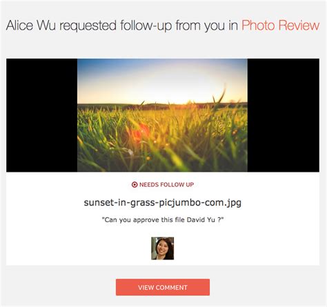 How Do I Request Follow Up Hightail