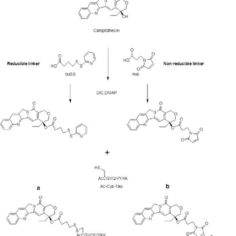 Structure Of Methotrexate The Molecular Structure Of Methotrexate And Download Scientific
