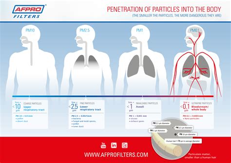 Particulate Matter Air Filter Afpro