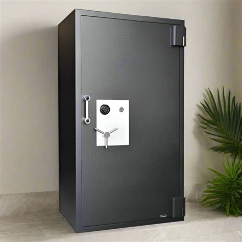 Amsec Cfx252016 Amvault Tl 30x6 High Security Safe Mammoth Safes