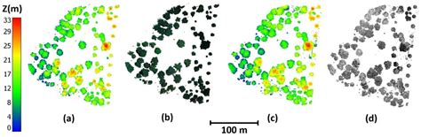 Individual Tree Canopy Parameters Estimation Using Uav Based Photogrammetric And Lidar Point