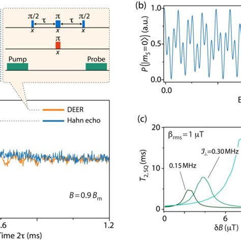 coherence protection near the level anti crossing a hahn echo and