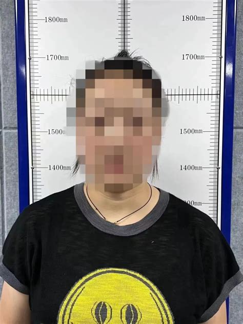 【夏季行动·平安守护】雷霆出击 守护平安！陇南公安夏季治安打击整治战果频传澎湃号·政务澎湃新闻 The Paper