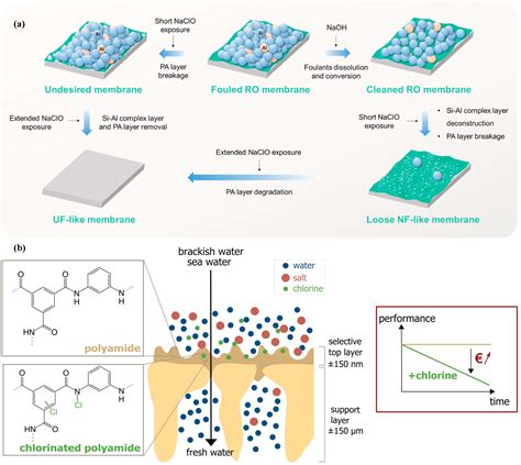 Sustainability In Membrane Technology Membrane Recycling And
