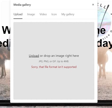 Uploading  Gives File Type Not Supported Community