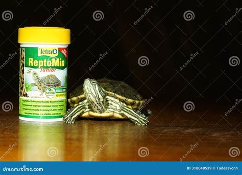 Meso American Slider Trachemys Venusta With Pellets For Aquatic Turtles Editorial Stock Image