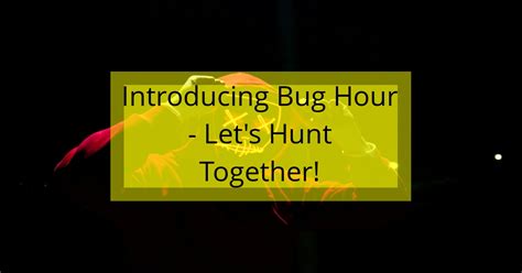 Introducing Bug Hour Lets Hunt Together Undercode Testing