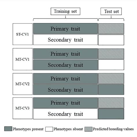 cross validation schemes employed for single trait st and