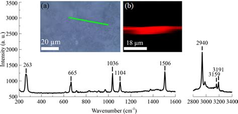 Figure 5 From Design Of Zeolitic Imidazolate Framework 8 Functionalized