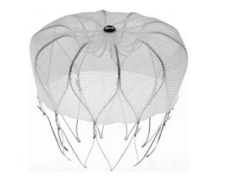 Left Atrial Appendage Occlusion Devices Plaato Device No Longer