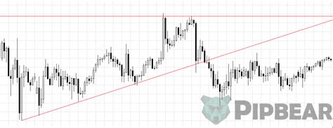 Accending Triangle Pipbear