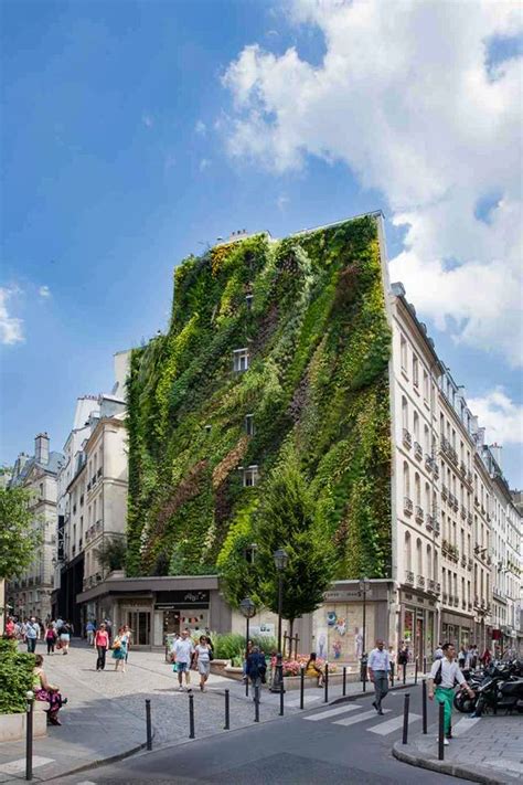 თბილისში აღმაშენებლის N59 ის შენობაზე კედლის ვერტიკალური გამწვანება მოეწყობა • თბილისი