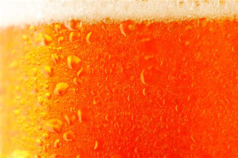 물 방울 응축 차가운 음료 방울로 덮여 얼음 차가운 유리 신선한 맥주 물 오렌지 음료 배경 빗방울 텍스처 닫기 0명에 대한 스톡 사진 및 기타 이미지 Istock