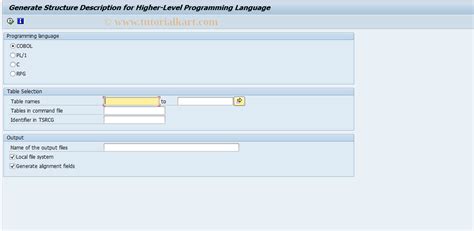 o020 sap tcode record layout for btci classes transaction code