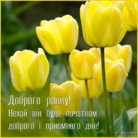 Доброго ранку дня вечора Картинки листівки привітання