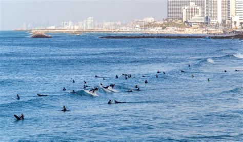 Building Agile Regulatory “muscles” The Regulatory Review