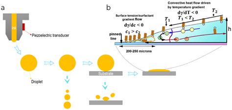 Ink Jet Printing Towards Ultra High Resolution A Review