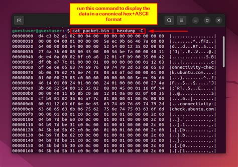 10 best ways to use linux hexdump command