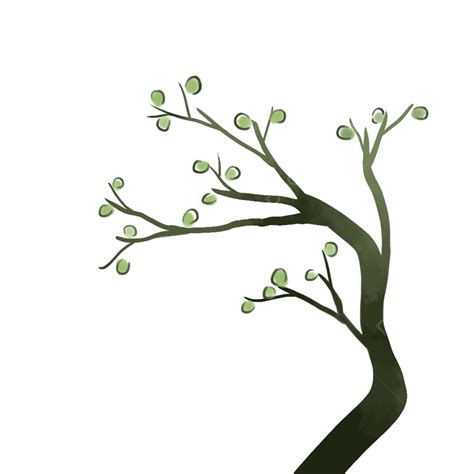 Tree White Transparent Trees Budding Tree Tree Material Big Tree