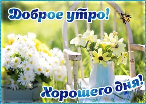 Картинка с добрым утром и хорошим днем Скачать бесплатно на