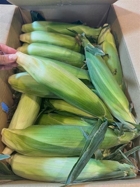 旦那に食料の調達頼むと定期的にこういうことがおきる。我が家は3人家族なのだけど‥どうしよう。 みんなのパパのやらかしも聞きたい😇