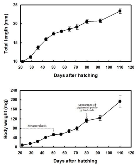 Growth Of Juvenile Starry Flounder Produced In Artificial Facility For Download Scientific