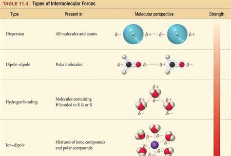 Intermolecular Force Study Chemistry Chemistry
