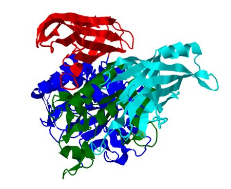 Model Shsid Igem 2022