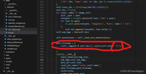 【yolox训练过程中遇到的问题集合】 attributeerror vocdetection object has no attri