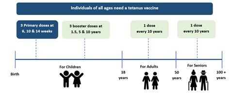 Tetanus Vaccination In India Invc