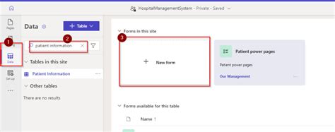 Hide Form Field In Power Pages By Using Javascript Softchief Learn