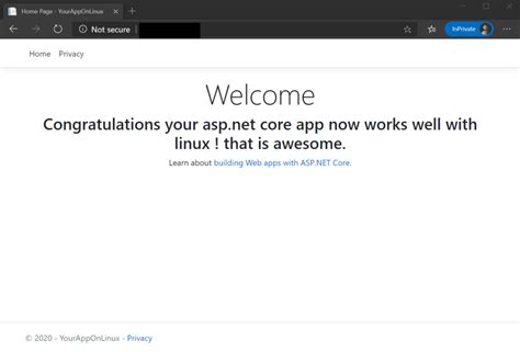 Install Aspnet Core On Linux Azure Virtual Machine Ubuntu 1804 Lts Rebin