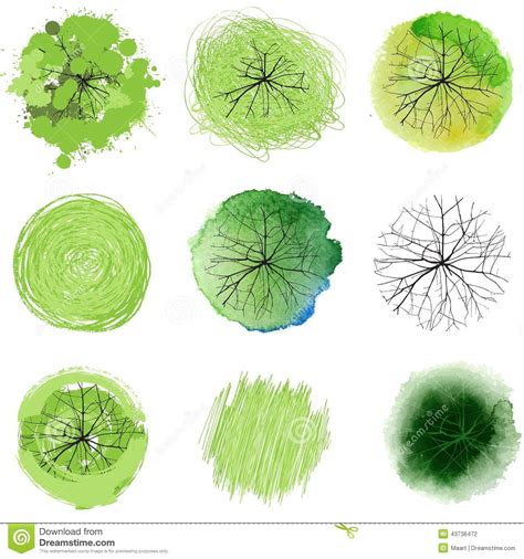 Landscape Design Drawings Architecture Sketch Tree Plan