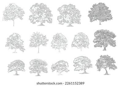 Minimal Style Cad Tree Line Drawing Stock Vector Royalty Free 2261152389 Shutterstock