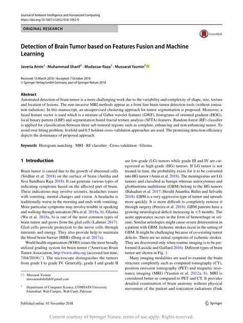 Detection Of Brain Tumor Based On Features Fusion And Machine Learning Request Pdf