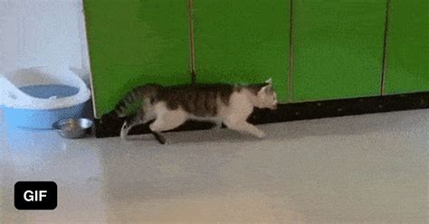 [the Server Has Been Disconnected ] 9gag