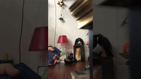 რჩევა სამყაროდან Youtube