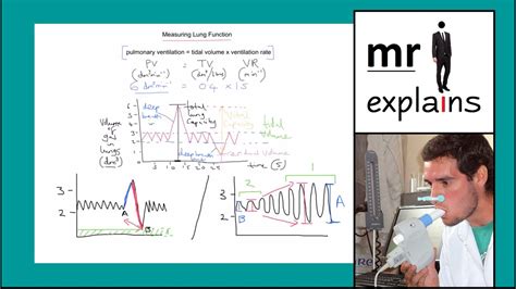 Cpt Code For Spirometry Before And After Exercise At Heriberto Barry Blog
